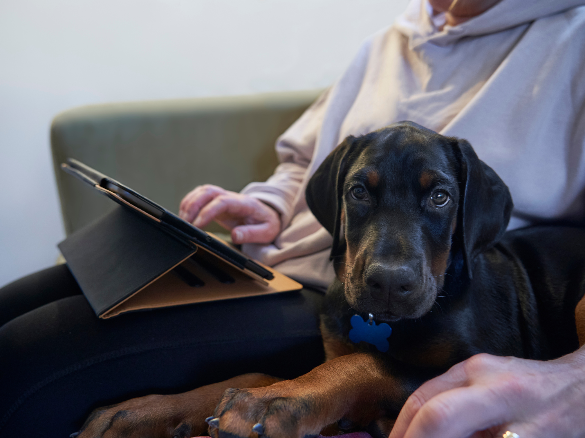 Introducing Farm & Yard TeleVet: Exclusive 24/7 Veterinary Care for Pr